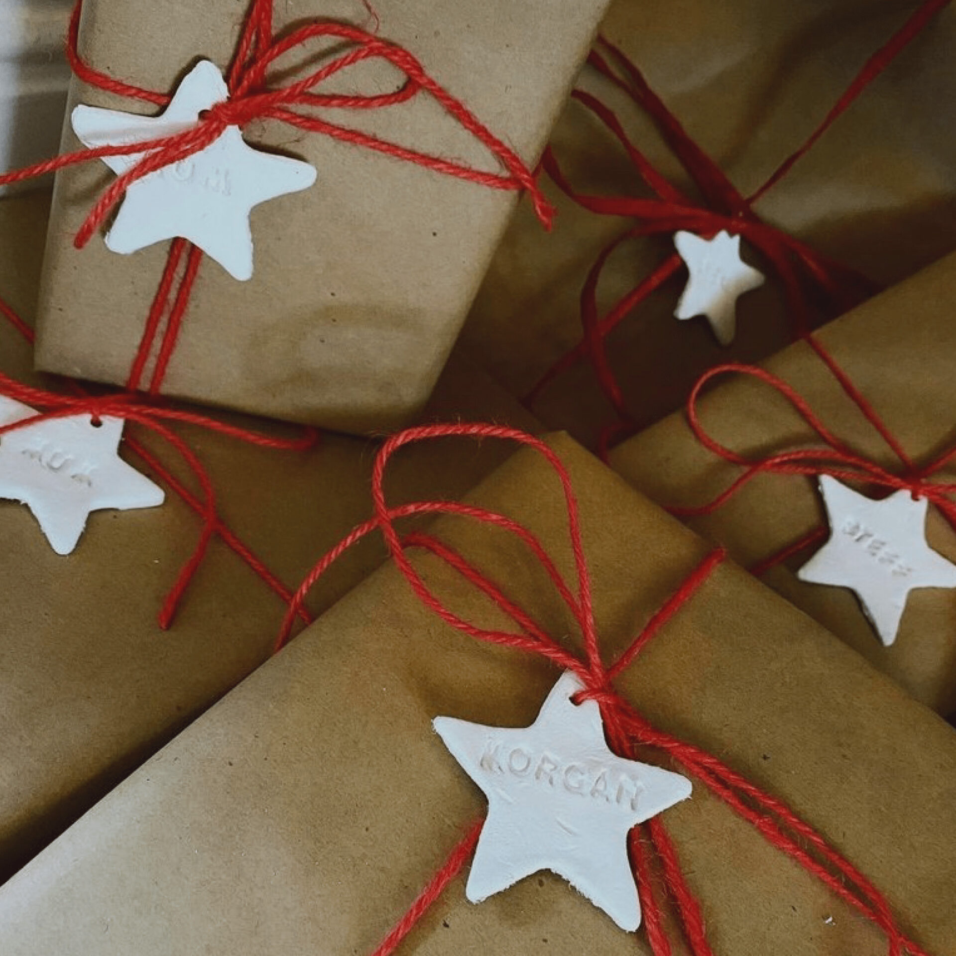 Nannypax Activity & Recipe Packs- Nannytax