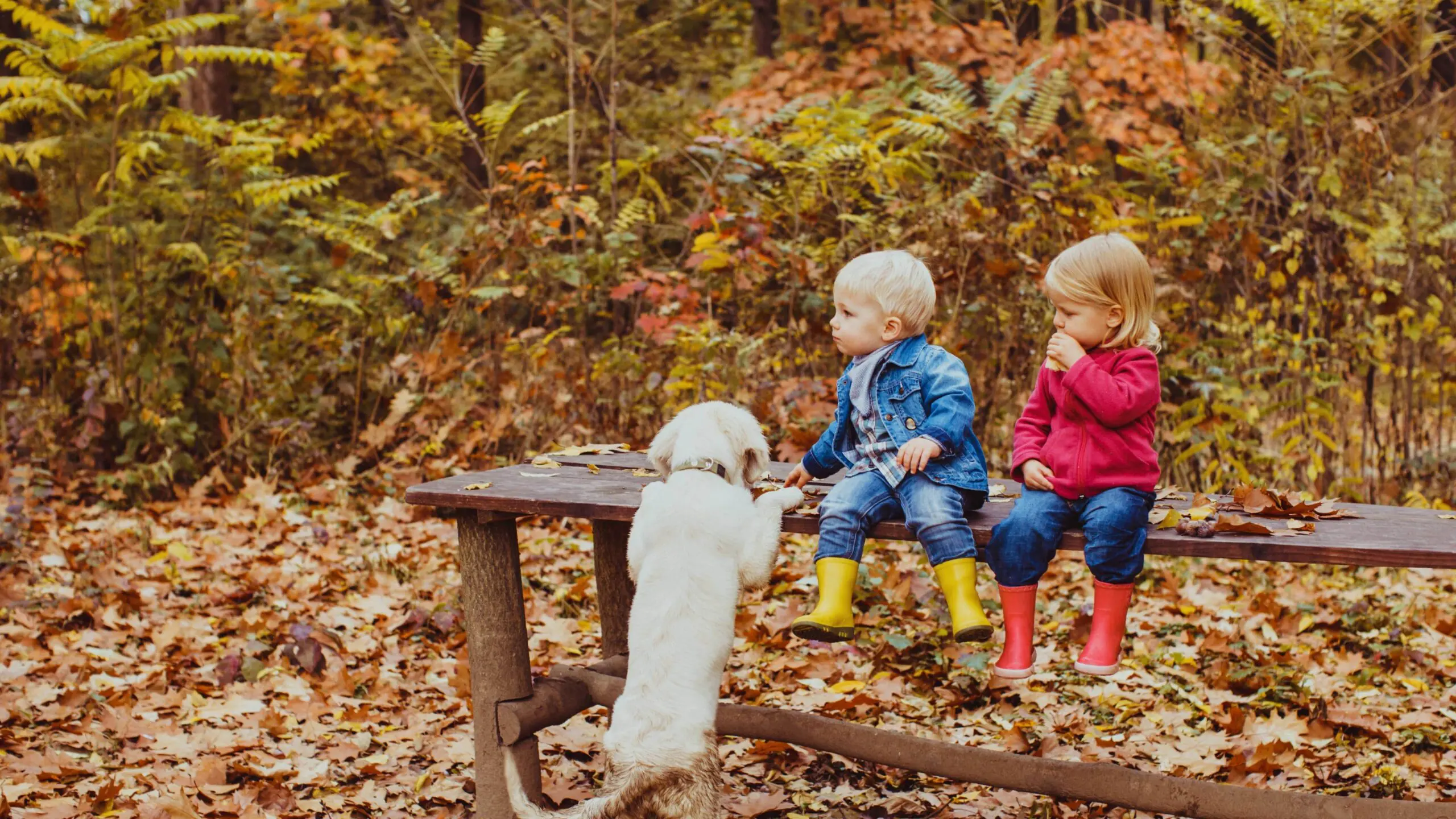 Nannytax Nanny Payroll Services for UK Employers - Nannytax