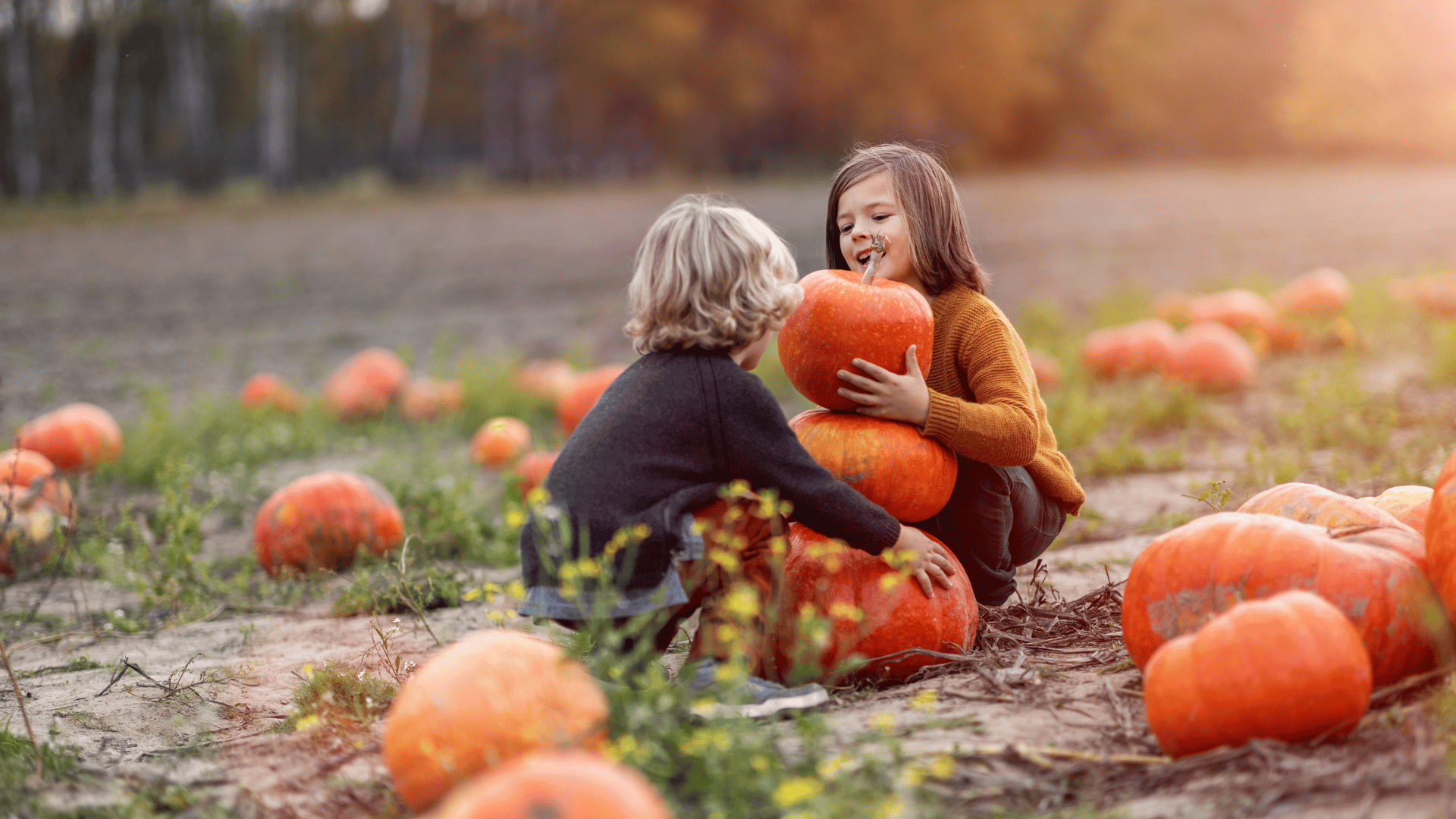 A Guide to the Best Pumpkin Patches in the UK - Nannytax